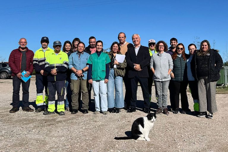 Formação reforça competências para o bem-estar animal - Som da Baixa ...